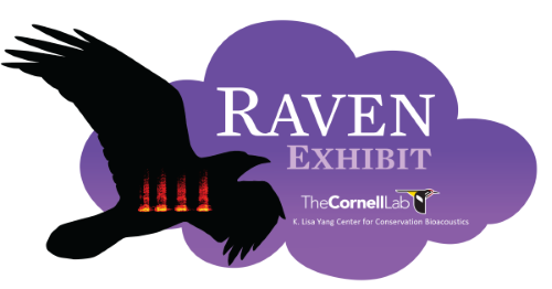Raven Software Downloads – Cornell Lab of Ornithology Store